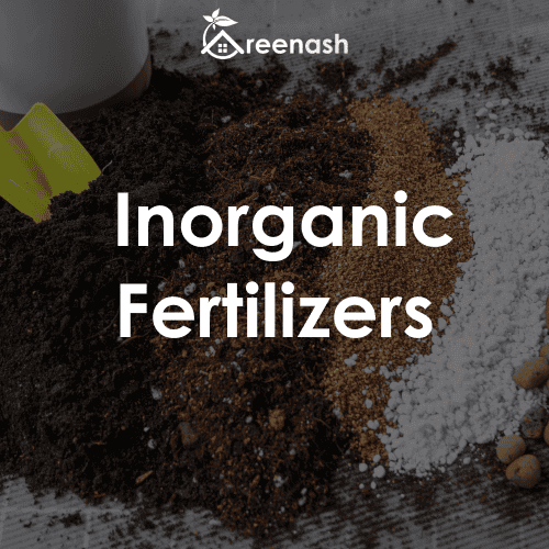 Shop Inorganic Fertilizers Online in UAE | GreenAsh Dubai